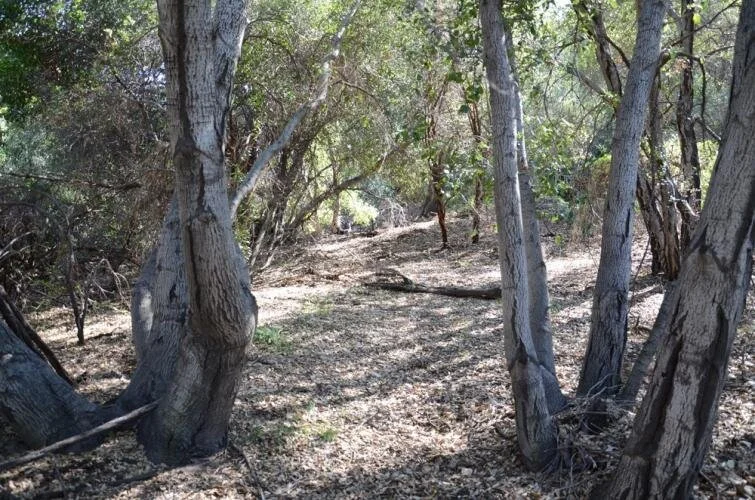 Rustic Oaks Ranch Photo Gallery — Rustic Oaks Ranch - A Beautiful ...