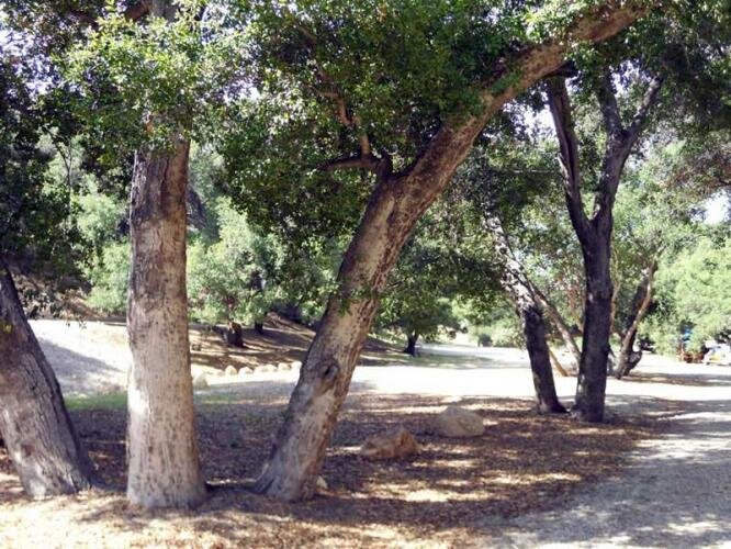 Rustic Oaks Ranch Photo Gallery — Rustic Oaks Ranch - A Beautiful ...