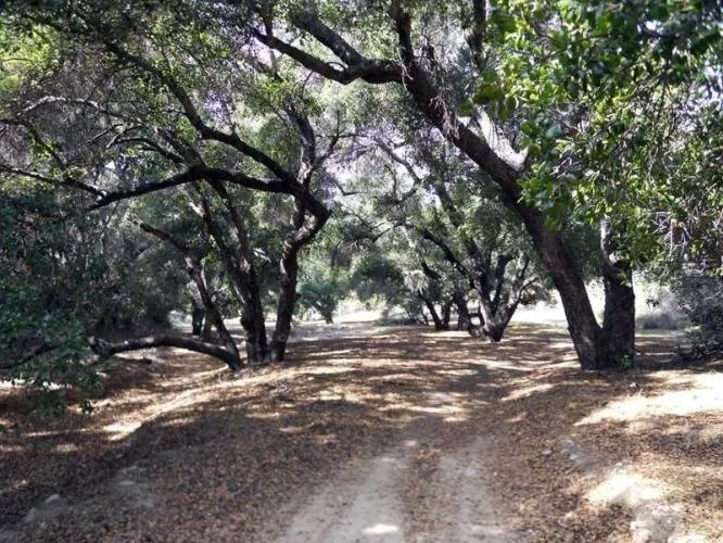 Rustic Oaks Ranch Photo Gallery — Rustic Oaks Ranch - A Beautiful ...