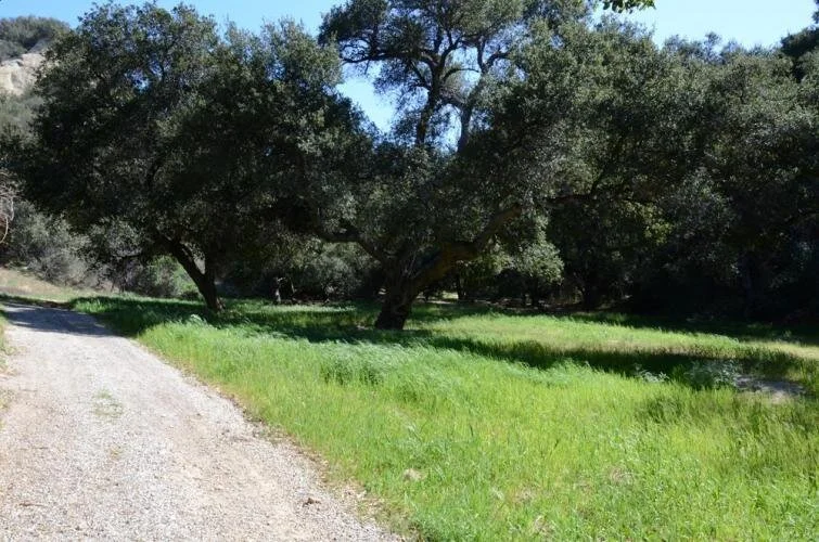 Rustic Oaks Ranch Photo Gallery — Rustic Oaks Ranch - A Beautiful ...