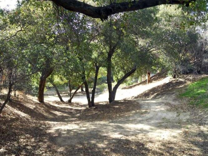 Rustic Oaks Ranch Photo Gallery — Rustic Oaks Ranch - A Beautiful ...