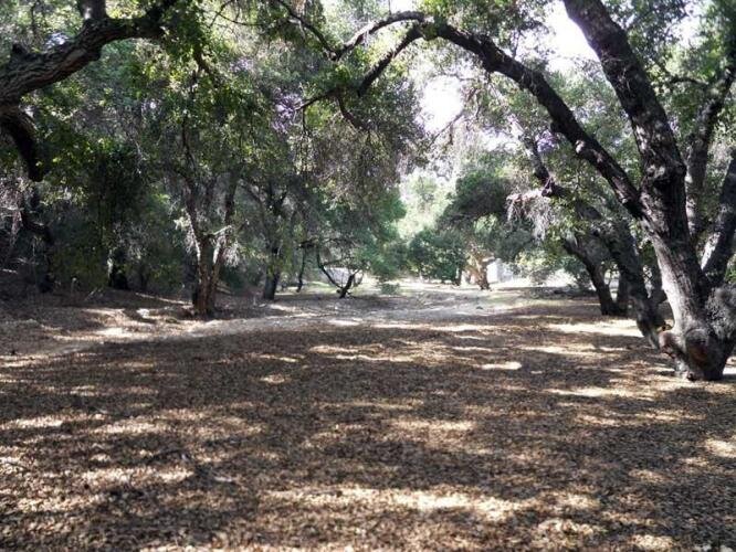 Rustic Oaks Ranch Photo Gallery — Rustic Oaks Ranch - A Beautiful ...