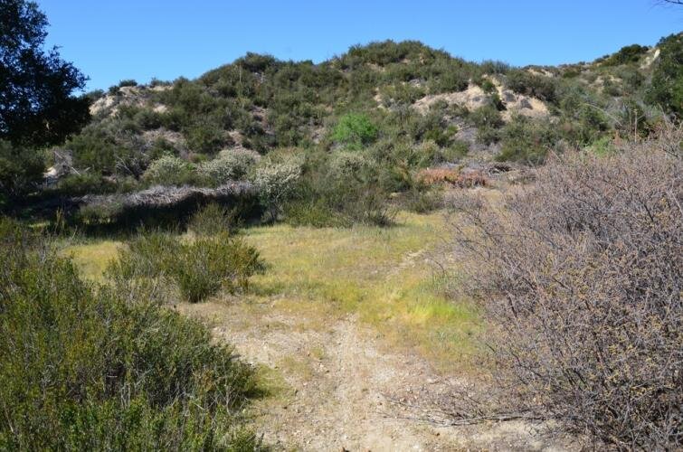 Rustic Oaks Ranch Photo Gallery — Rustic Oaks Ranch - A Beautiful ...