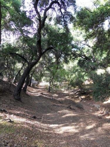 Rustic Oaks Ranch Photo Gallery — Rustic Oaks Ranch - A Beautiful ...