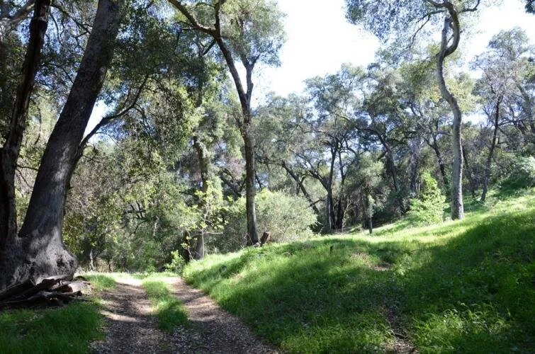 Rustic Oaks Ranch Photo Gallery — Rustic Oaks Ranch - A Beautiful ...