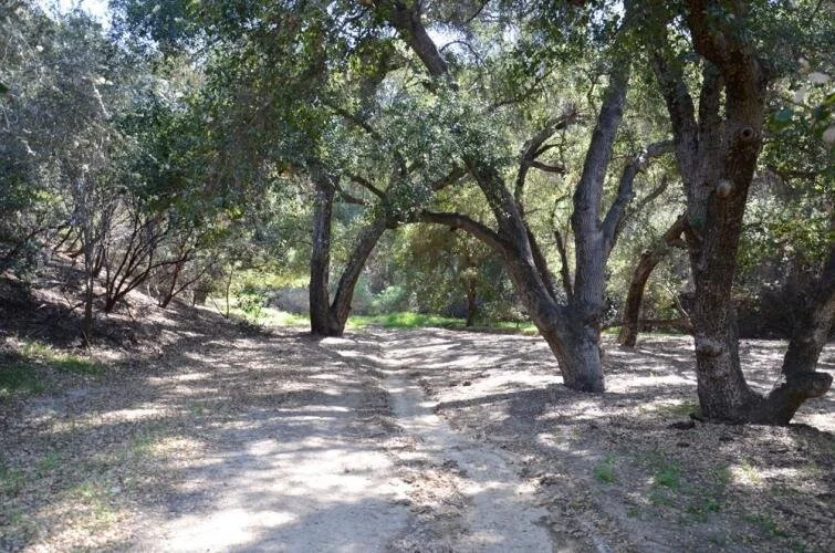 Rustic Oaks Ranch Photo Gallery — Rustic Oaks Ranch - A Beautiful ...