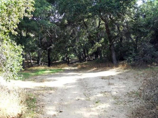 Rustic Oaks Ranch Photo Gallery — Rustic Oaks Ranch - A Beautiful ...