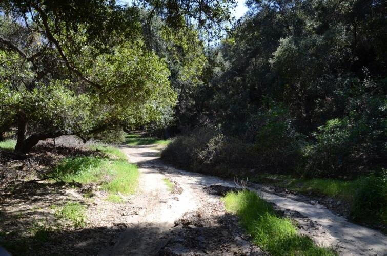 Rustic Oaks Ranch Photo Gallery — Rustic Oaks Ranch - A Beautiful ...