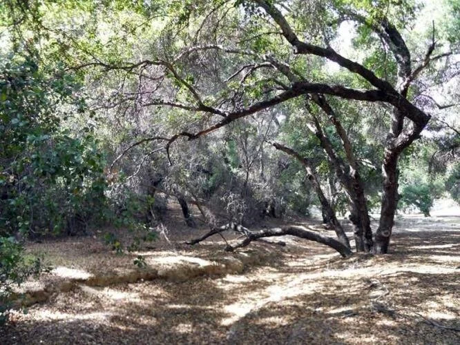 Rustic Oaks Ranch Photo Gallery — Rustic Oaks Ranch - A Beautiful ...