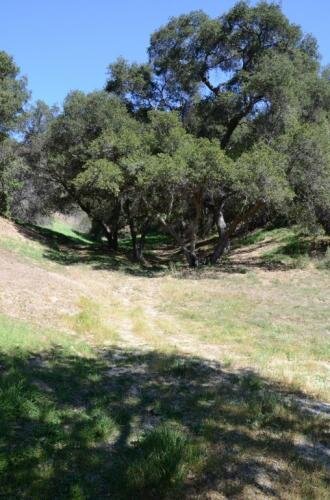 Rustic Oaks Ranch Photo Gallery — Rustic Oaks Ranch - A Beautiful ...