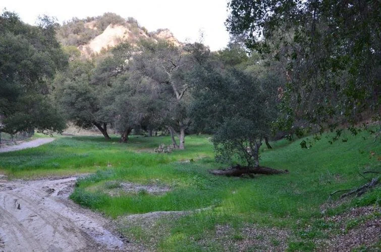 Rustic Oaks Ranch Photo Gallery — Rustic Oaks Ranch - A Beautiful ...