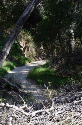 Rustic Oaks Ranch Photo Gallery — Rustic Oaks Ranch - A Beautiful ...