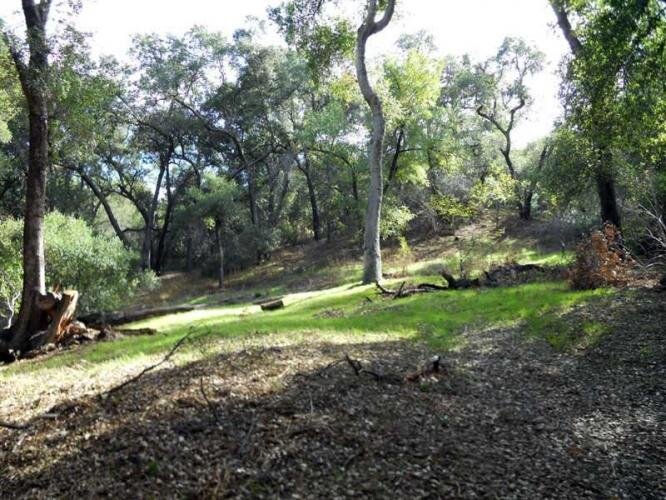 Rustic Oaks Ranch Photo Gallery — Rustic Oaks Ranch - A Beautiful ...