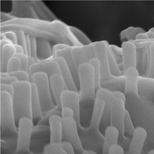 Intellectual Property — Nanowear