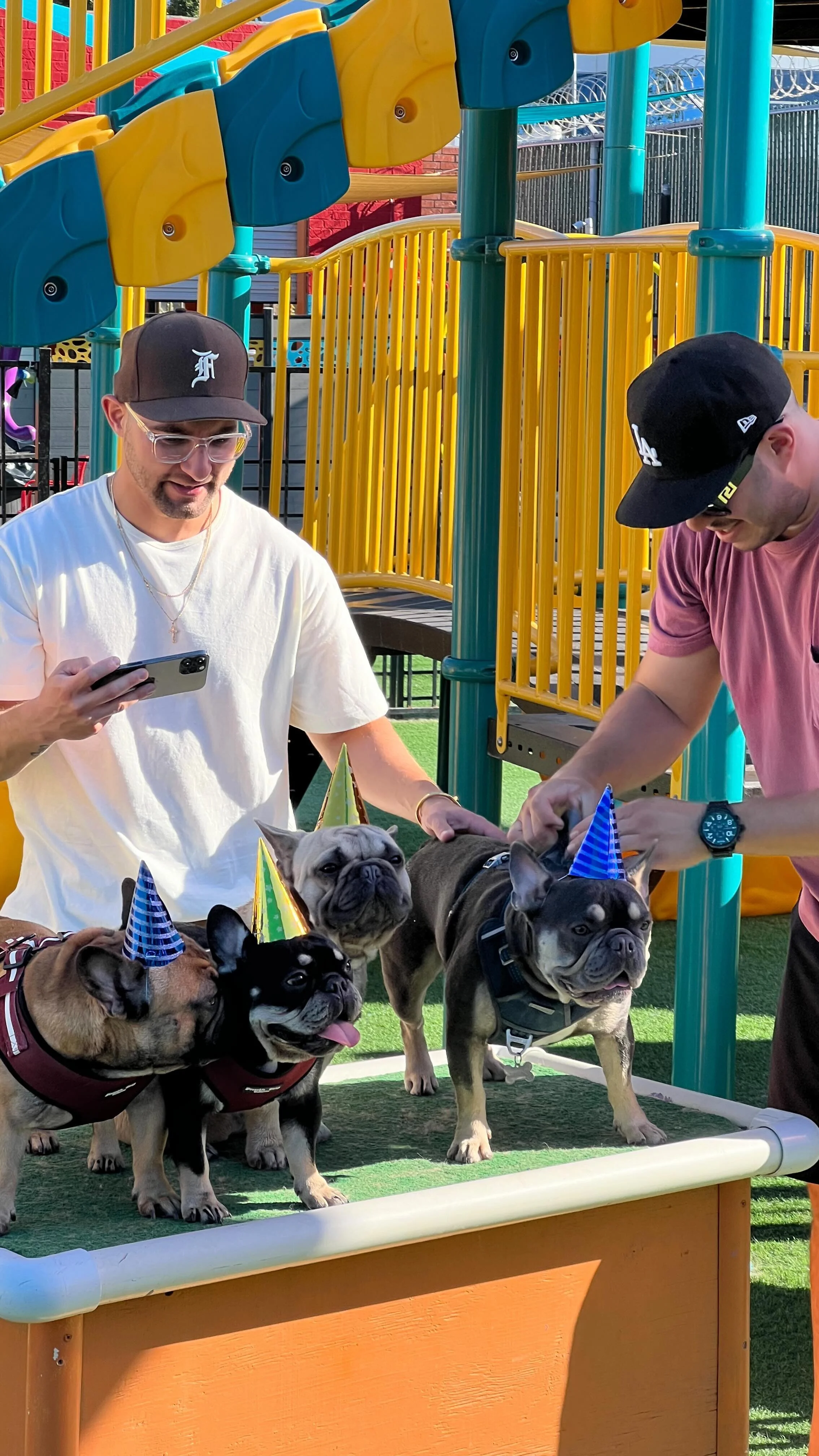 South Park Doggie - Adventureland South Bay |Dog Daycare, Boarding ...
