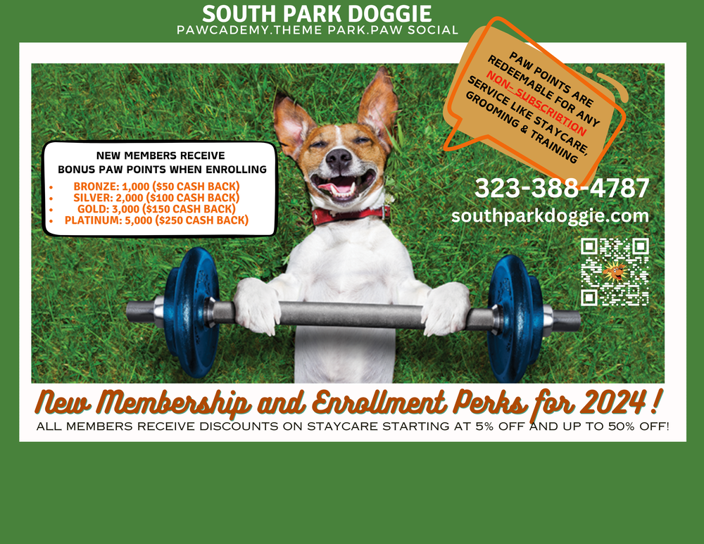 South Park Doggie Adventureland South Bay - Ultimate Dog Theme Park ...