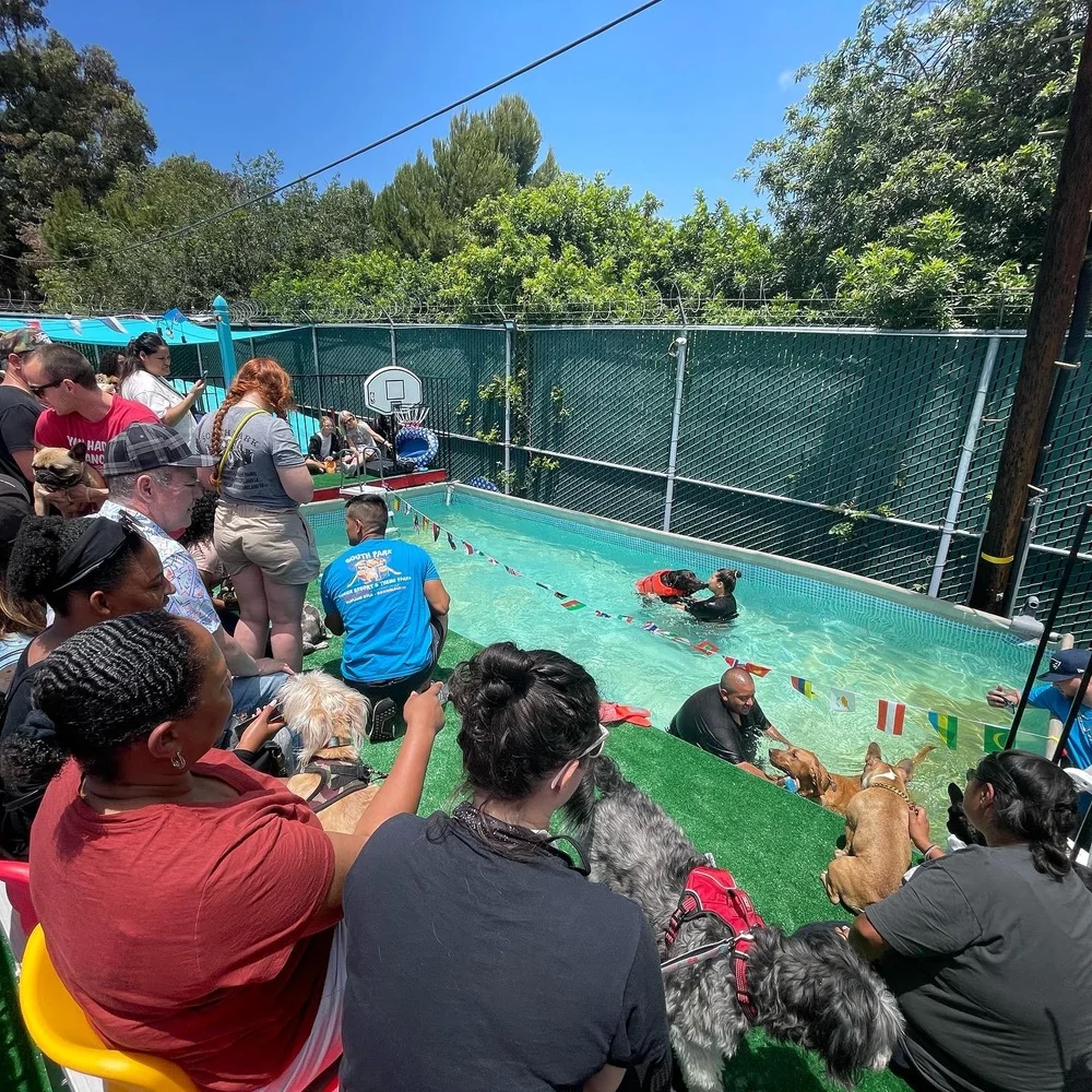 South Park Doggie Adventureland South Bay - Ultimate Dog Theme Park ...