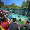 South Park Doggie Adventureland South Bay - Ultimate Dog Theme Park ...