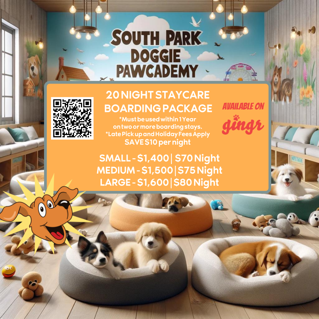 Comprehensive Dog Boarding at South Park Doggie Adventureland South Bay- Activity Staycare Services