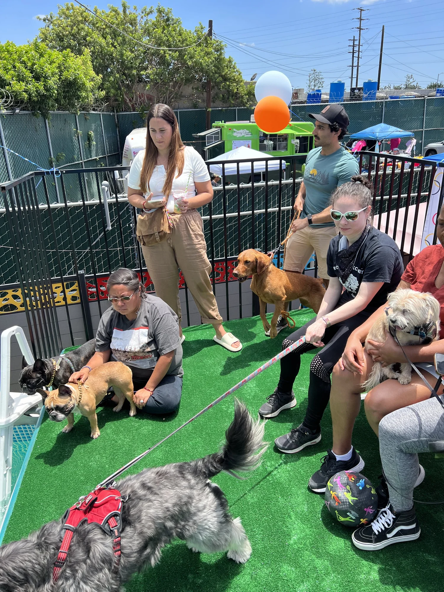 South Park Doggie Adventureland South Bay - Ultimate Dog Theme Park ...
