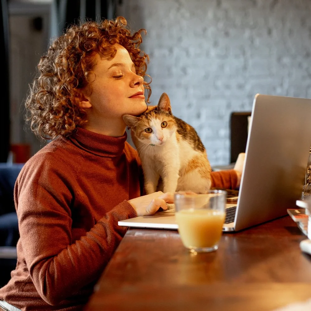 Faithful Friends Home Vet : Home Euthanasia for Pets in Naperville ...