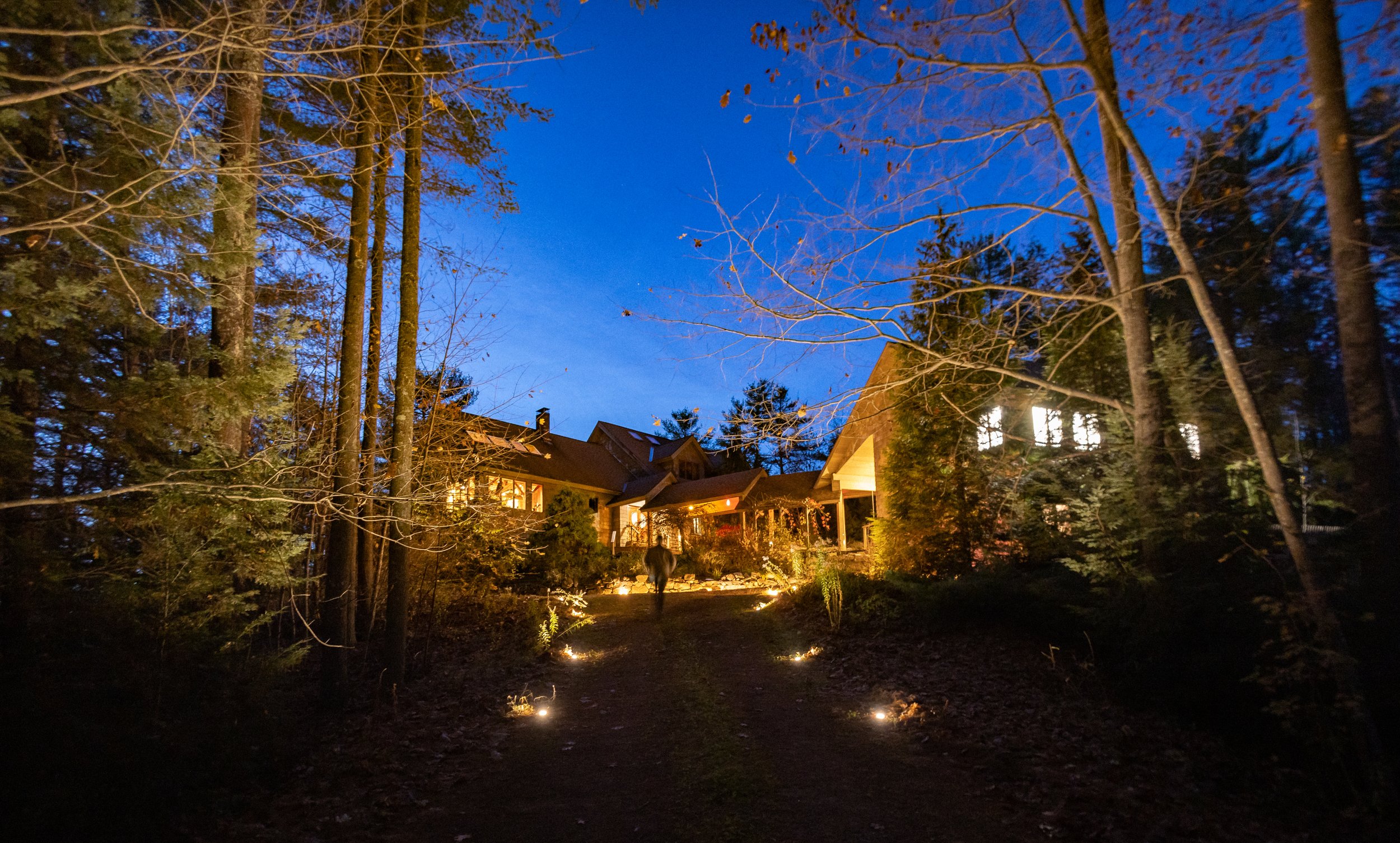 Sarah Bouchard Gallery