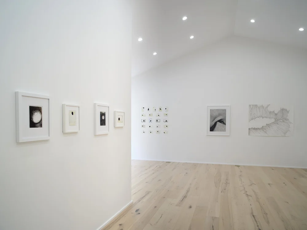 Current Exhibition — SARAH BOUCHARD GALLERY