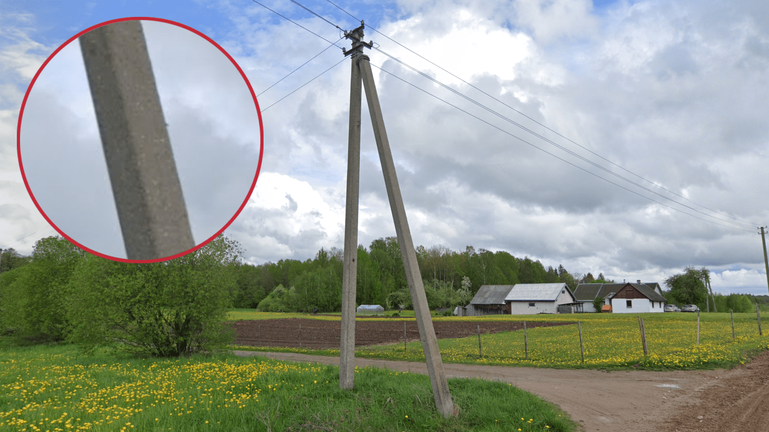 Lithuania — Plonk It