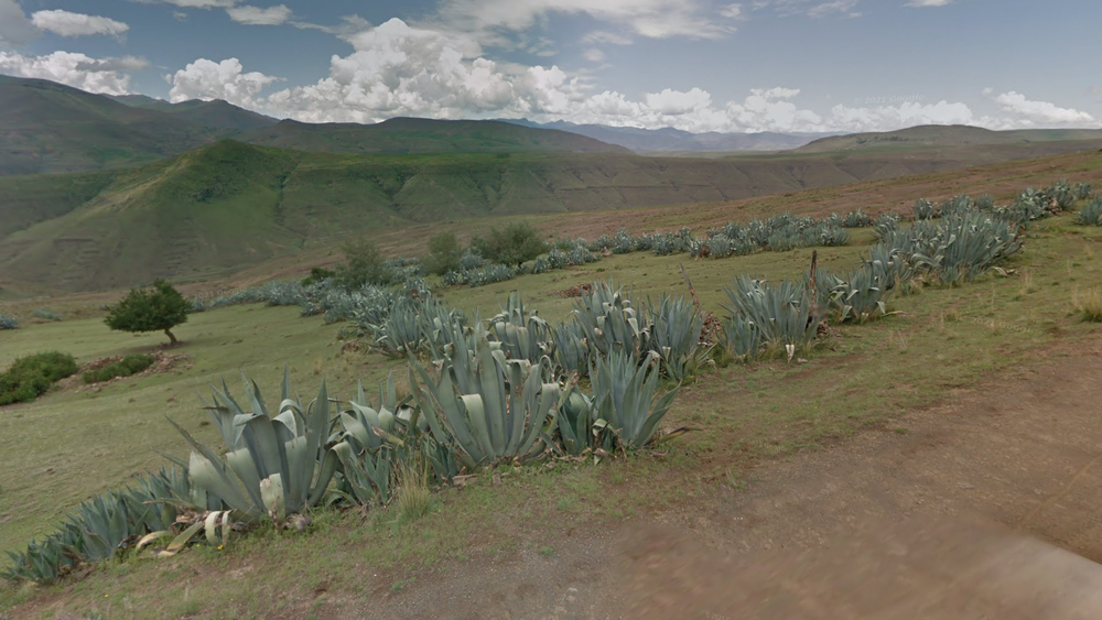 Lesotho — Plonk It