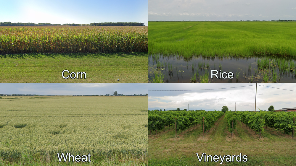 Beginner's Guide to Geoguessr 2 — Plonk It