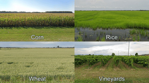 Beginner's Guide to Geoguessr 2 — Plonk It