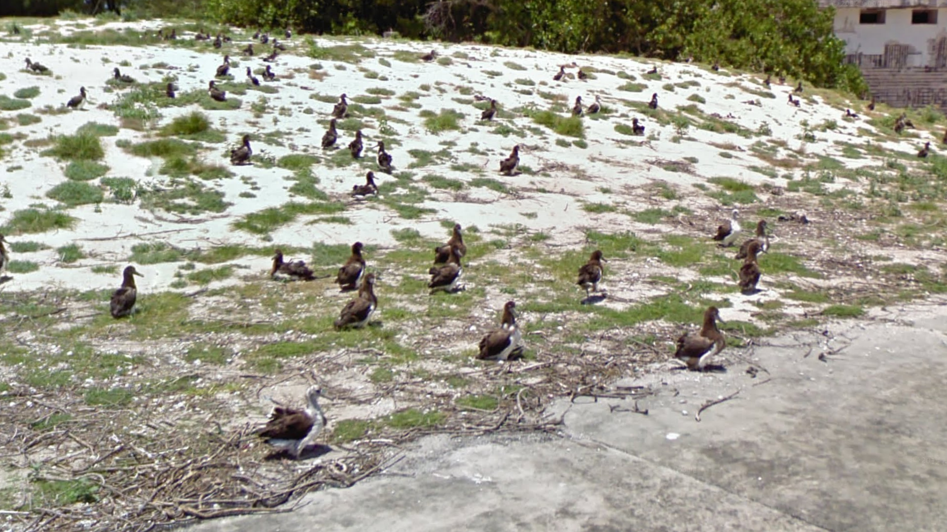 US Minor Outlying Islands — Plonk It