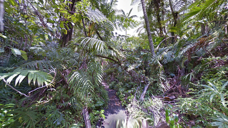 Vanuatu — Plonk It