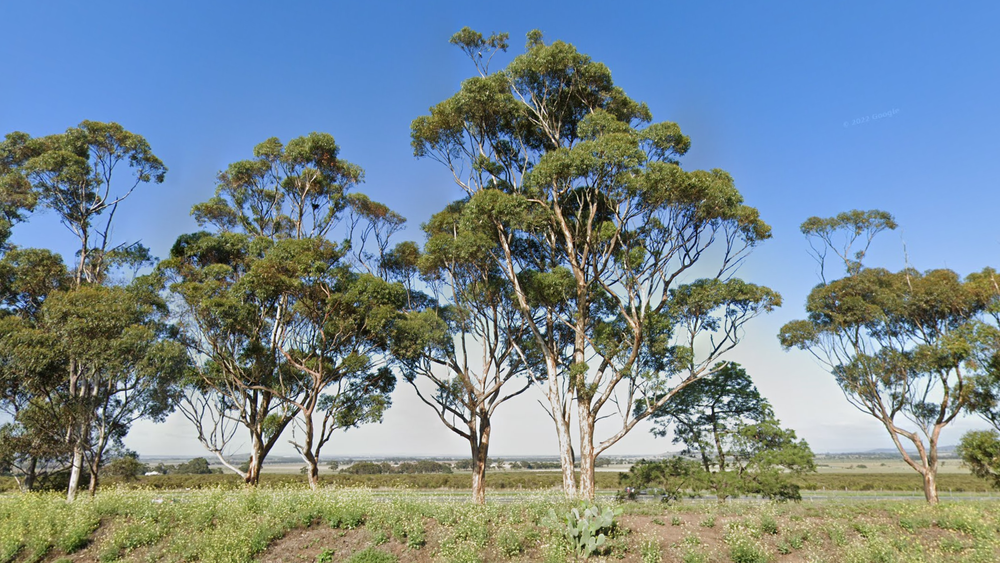 Australia — Plonk It