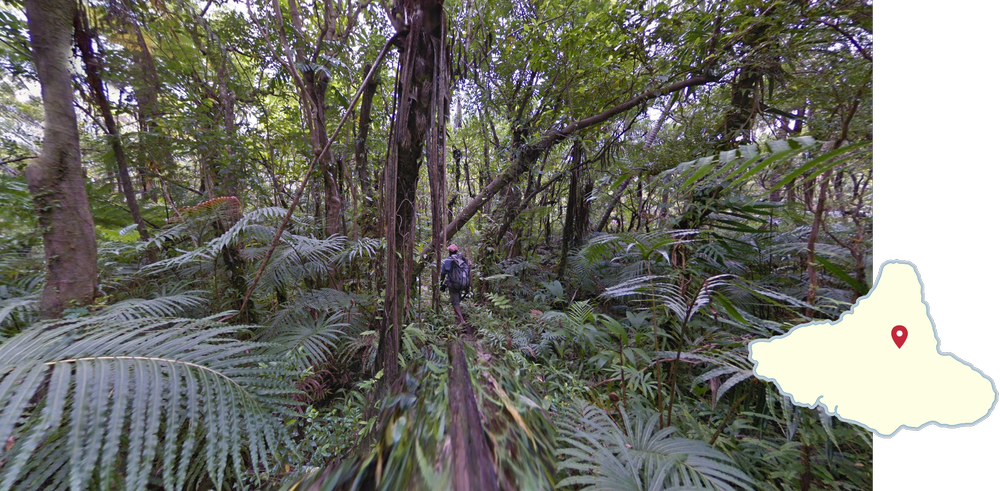 Vanuatu — Plonk It