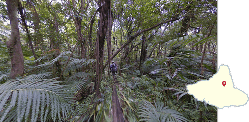 Vanuatu — Plonk It