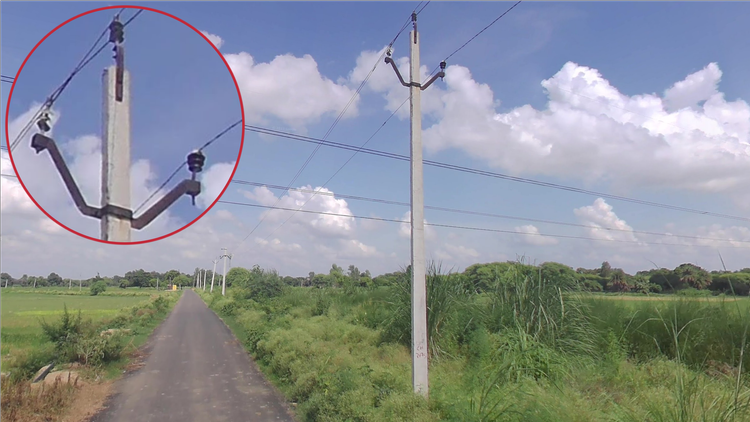 India — Plonk It