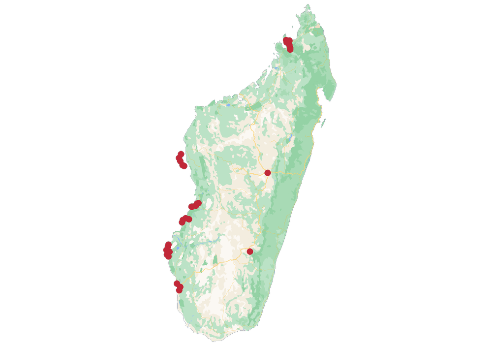 Madagascar — Plonk It