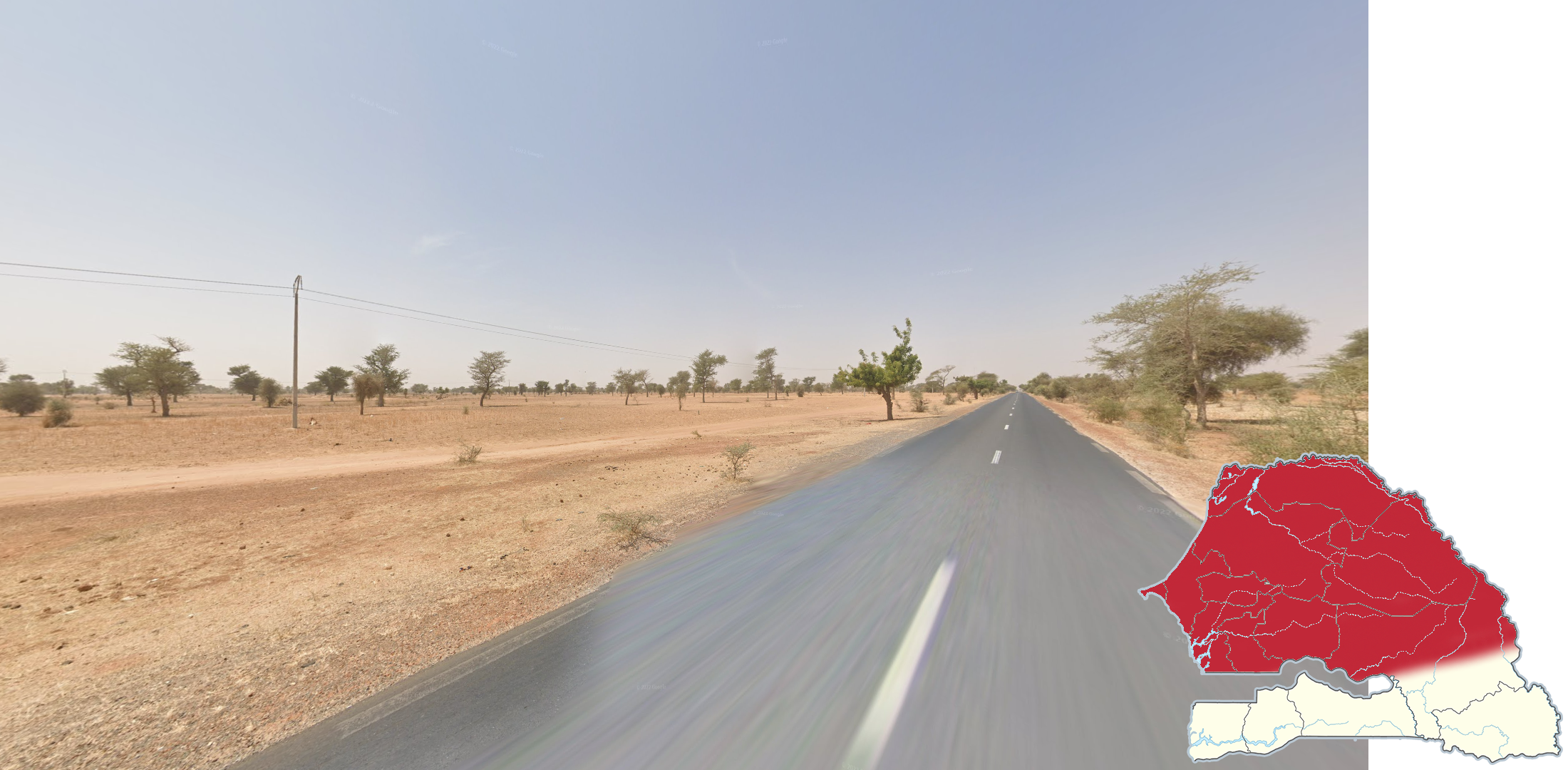 Senegal — Plonk It