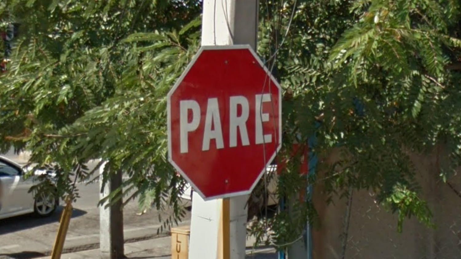 Dominican Republic — Plonk It