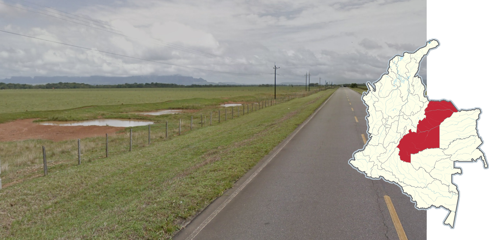 Colombia — Plonk It
