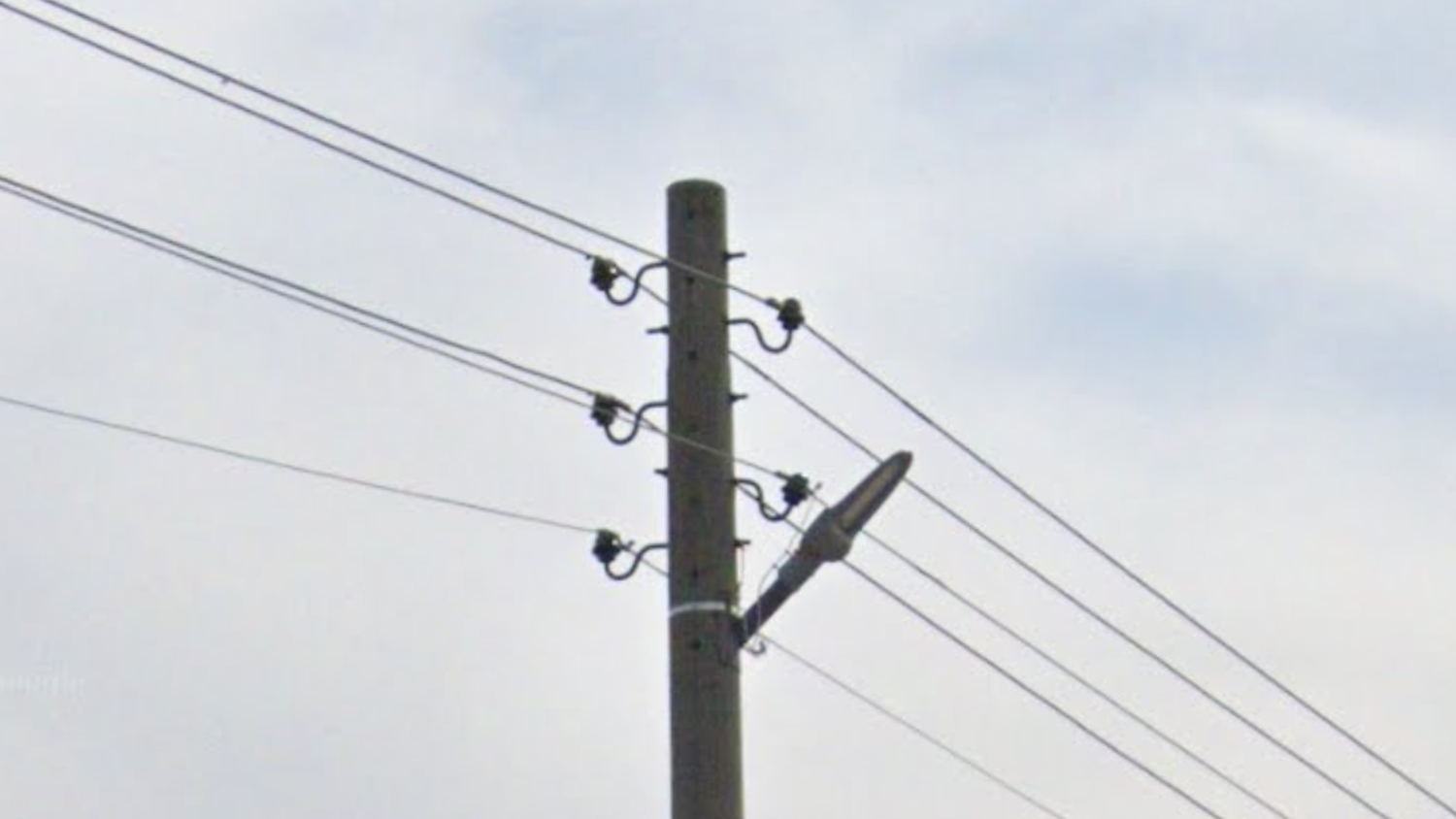 Bulgaria — Plonk It