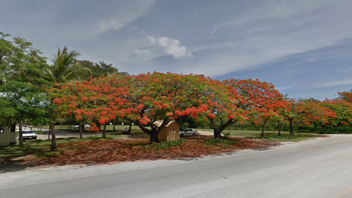 Northern Mariana Islands — Plonk It