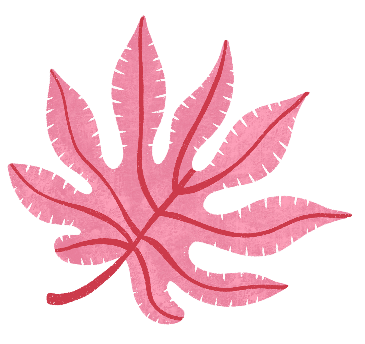 Hey Mel! Communication & Training | Communication Agency Brisbane