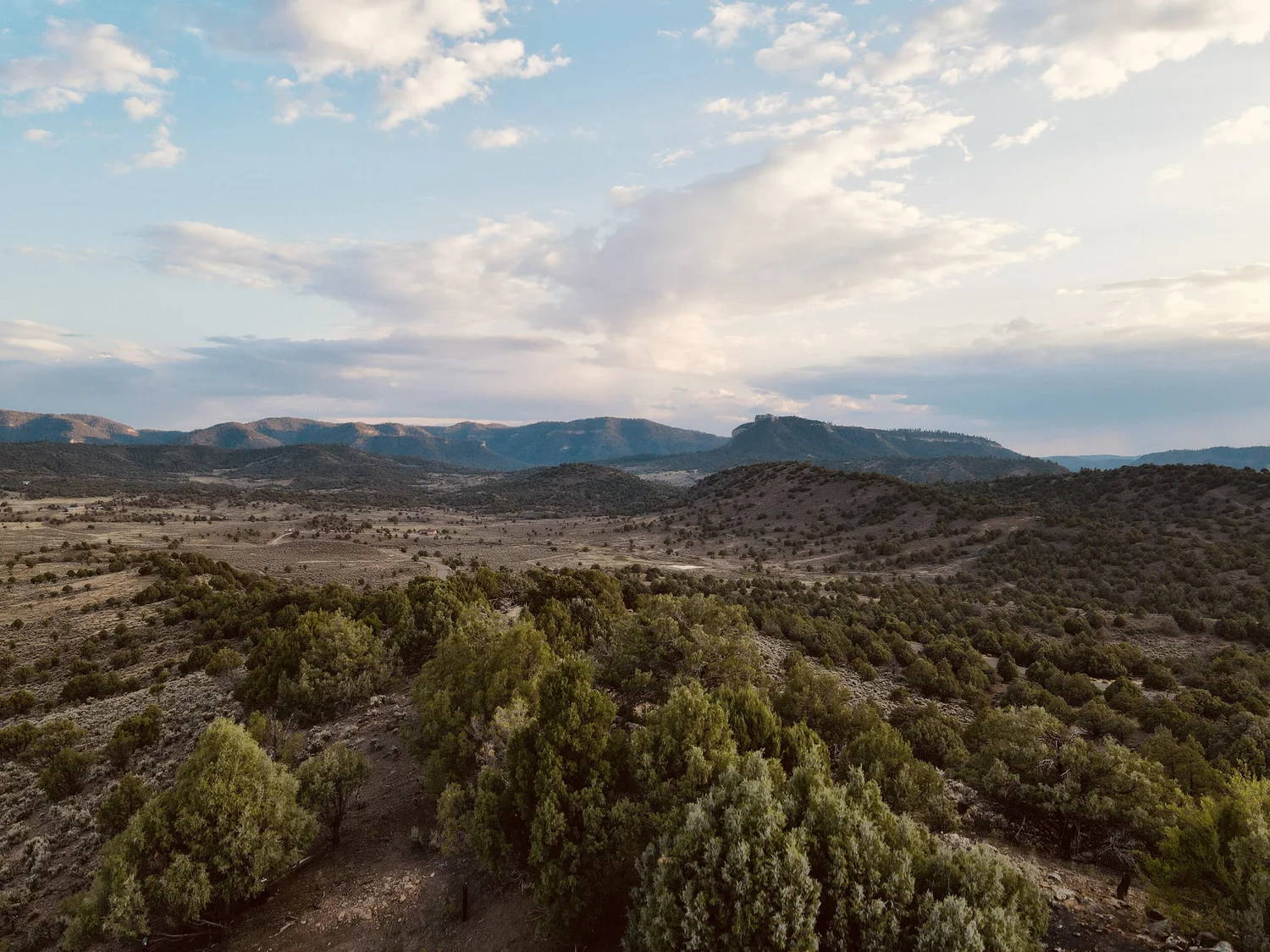 Piñon Hills Ranch