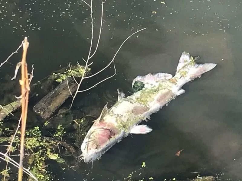 Calumet River — H2NOW Chicago