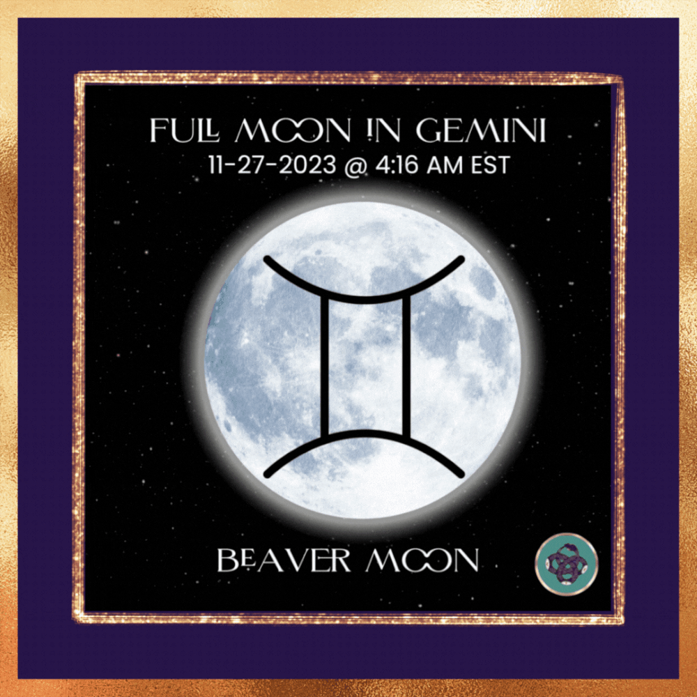 BREATHE & PAUSE WITH THE GEMINI BEAVER FULL MOON 🌕♊️ 2023 — Eighth ...