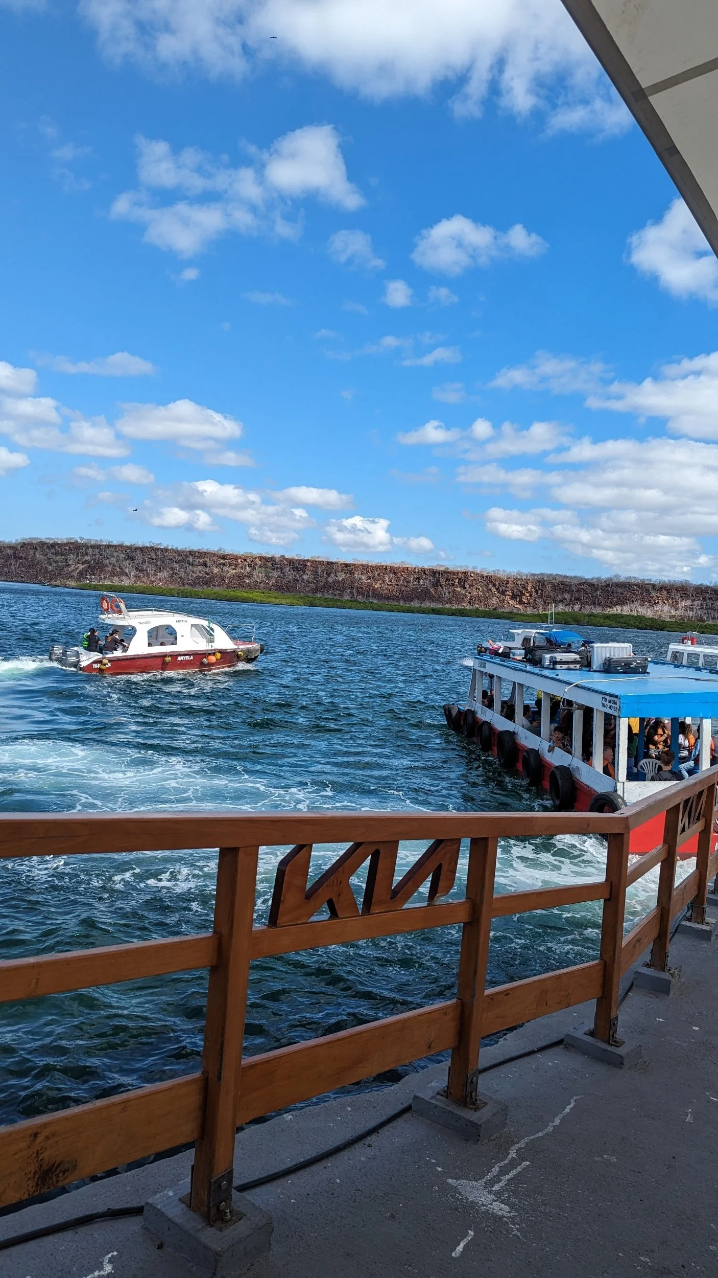 Complete Guide to Santa Cruz Island for the Best Galapagos Journey by ...