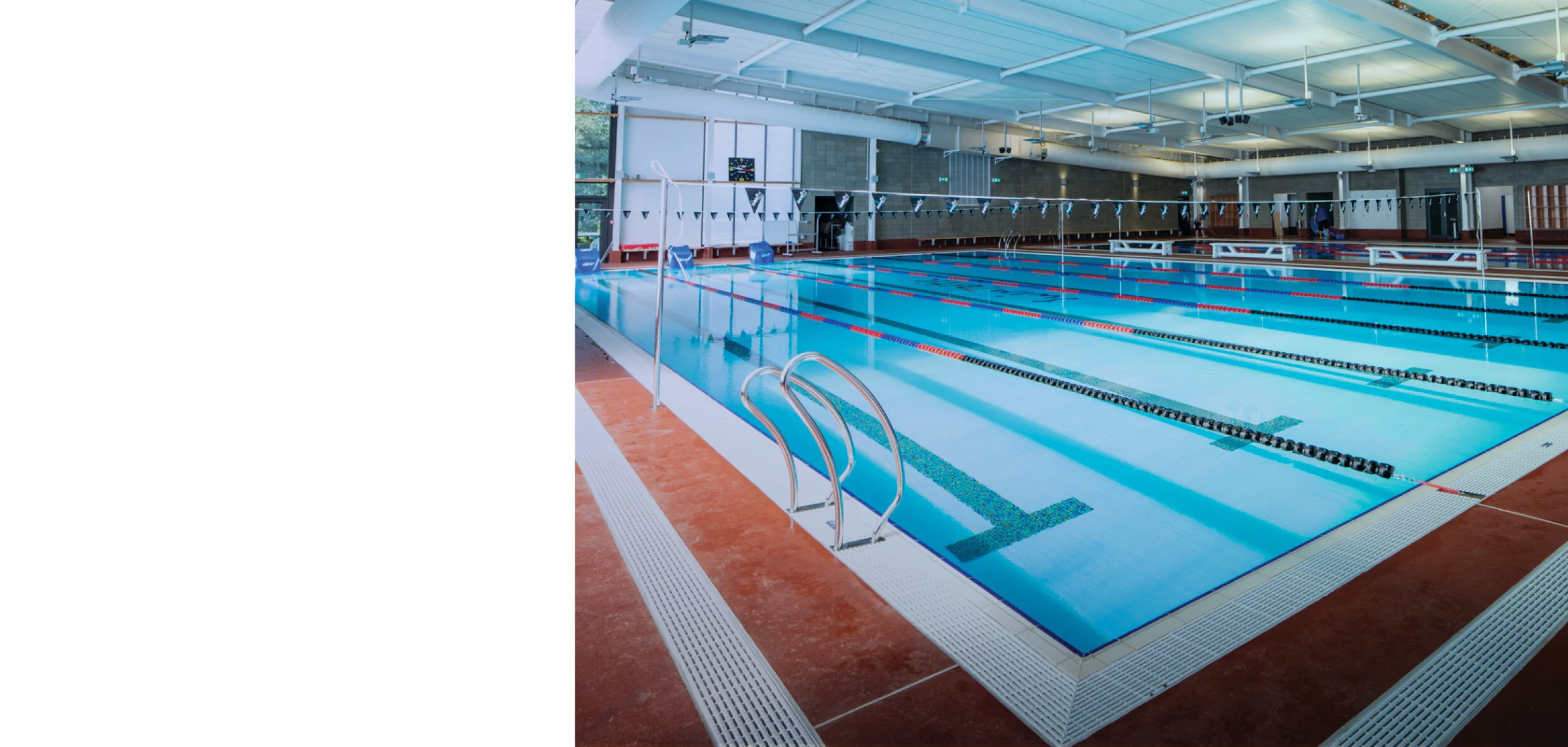 Swimming Lessons for Baby to Adult | Learn to swim | Auckland Swim School