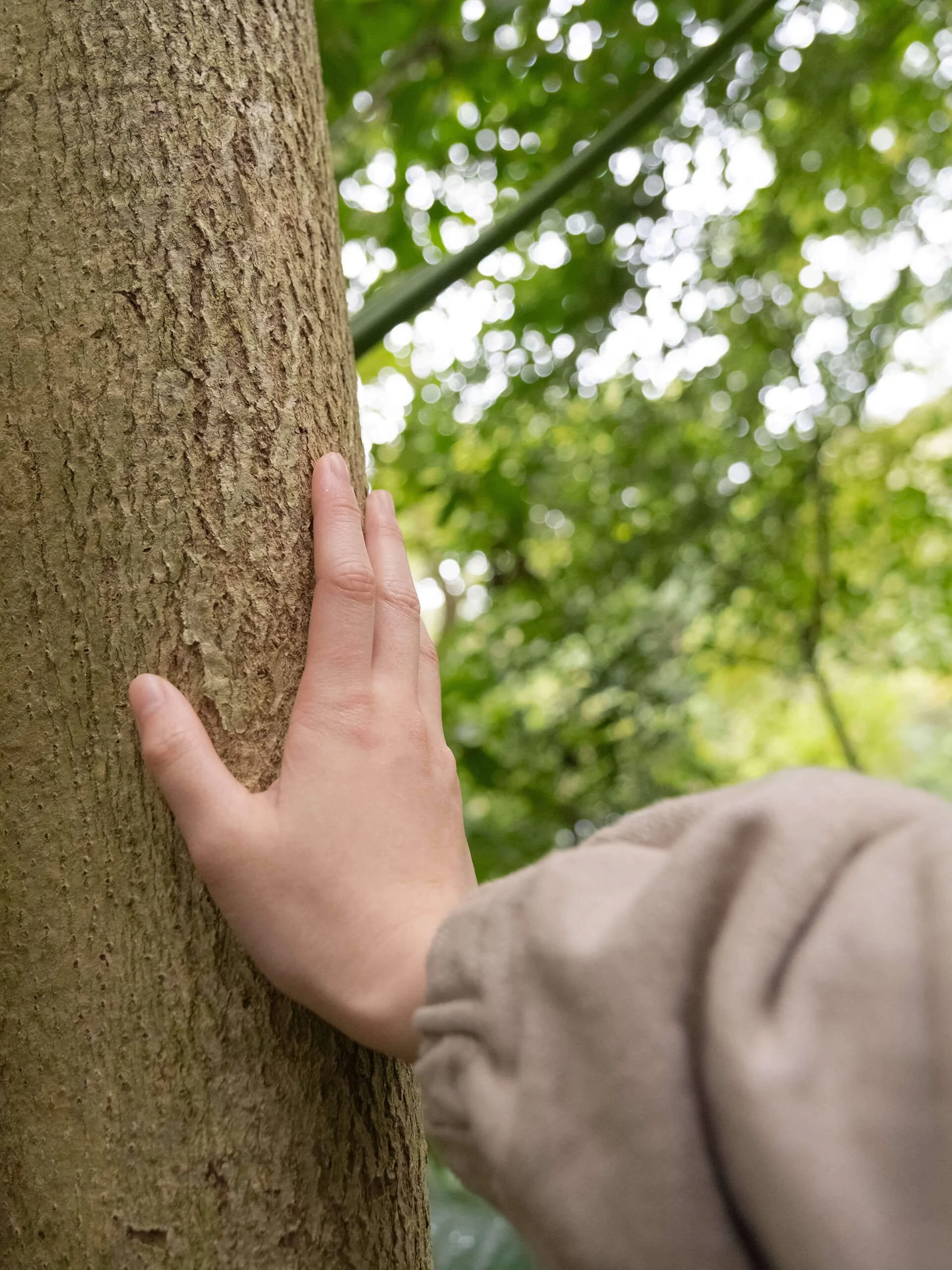 Home — Soul Barn Wellness